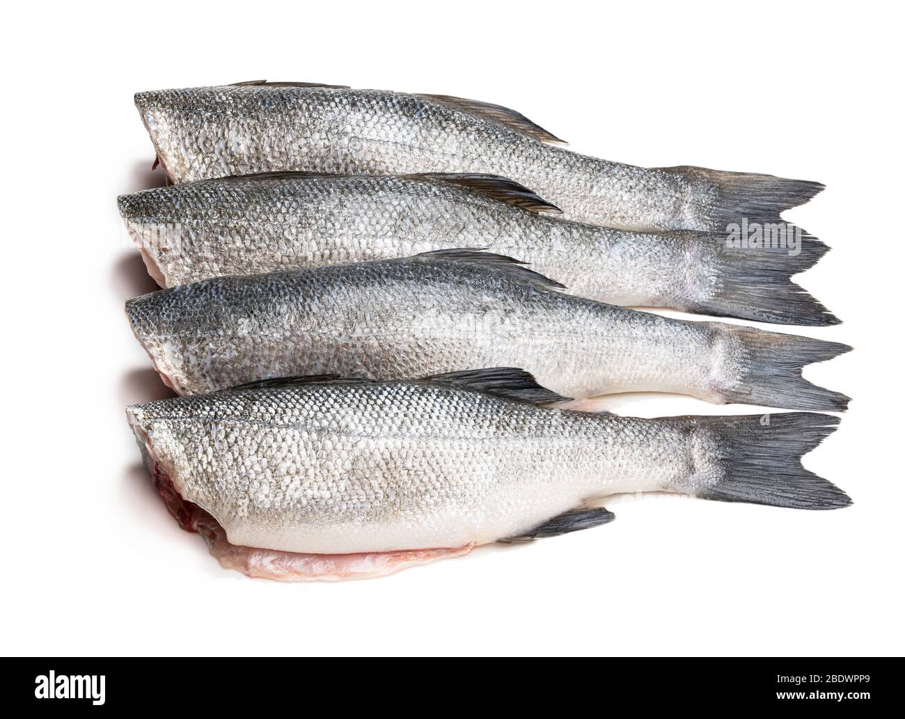 Raw whole headless seabass fish isolated on white Stock Photo - Alamy