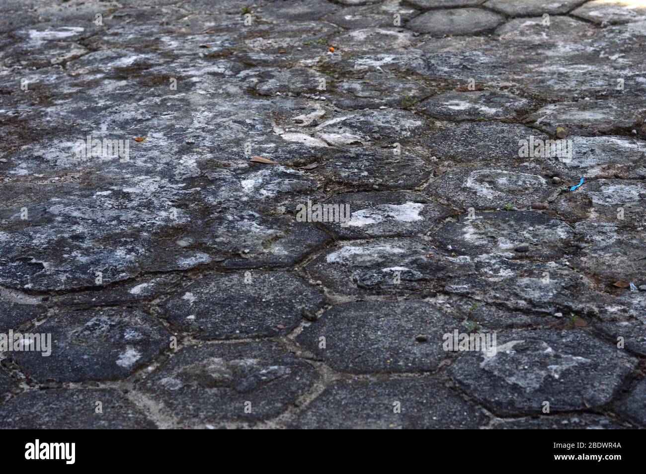 Brick octagonal walkway pavement texture hi-res stock photography and ...