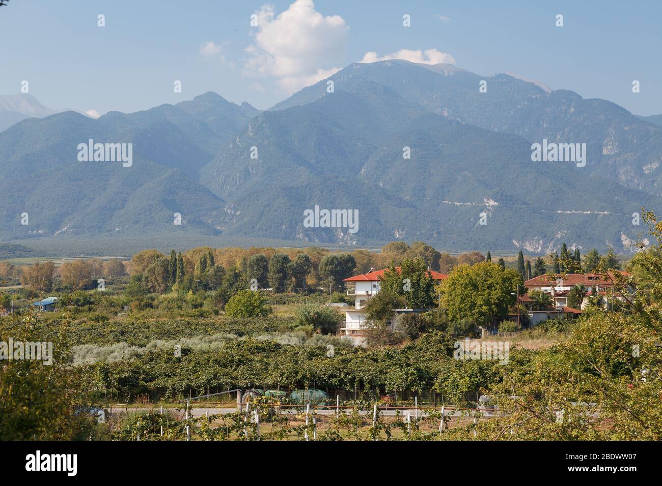 Traditional greek farms view with mountains at the background Stock ...