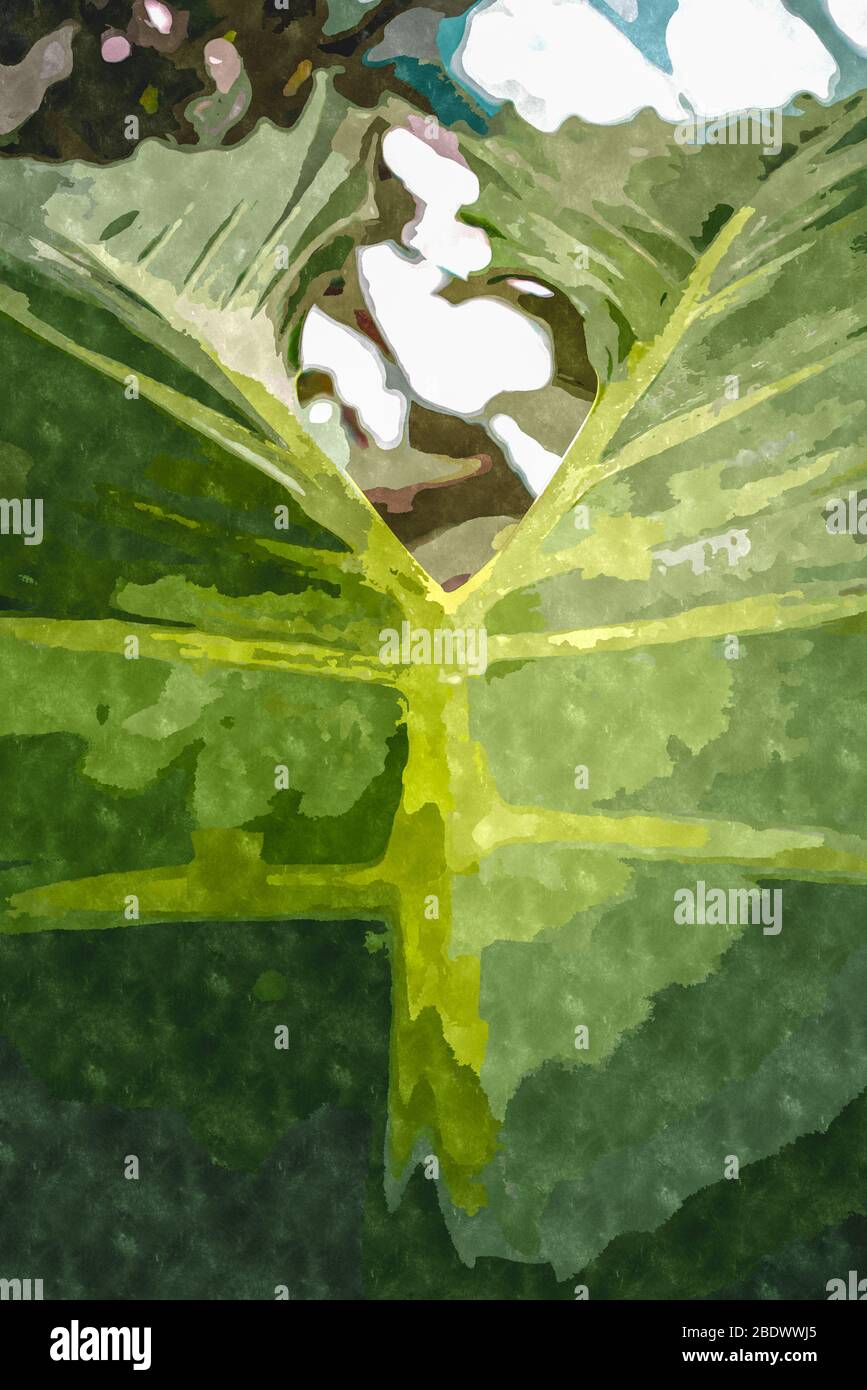 Watercolor painting illustration with green botanical garden plants ...