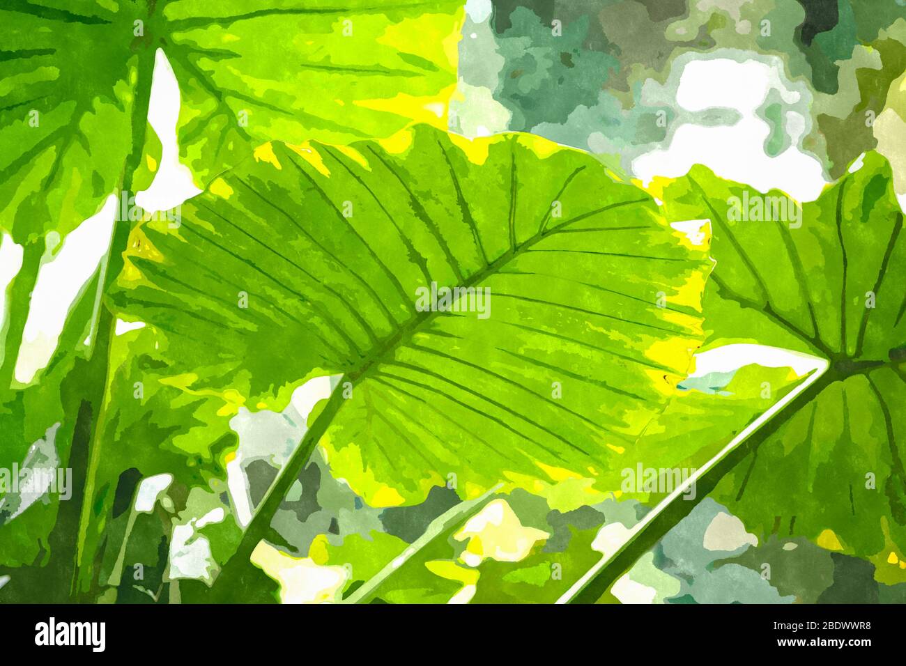 Watercolor painting illustration with green botanical garden plants ...