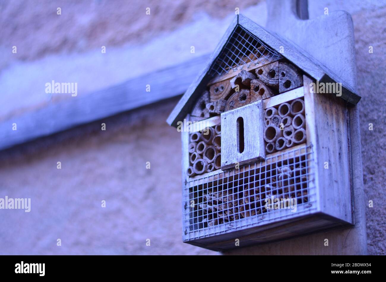 Handmade insect hotel out of wood in the garden Stock Photo - Alamy
