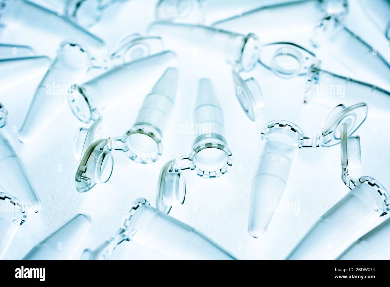 PCR microtube on a white background, PCR test tube on a white ...