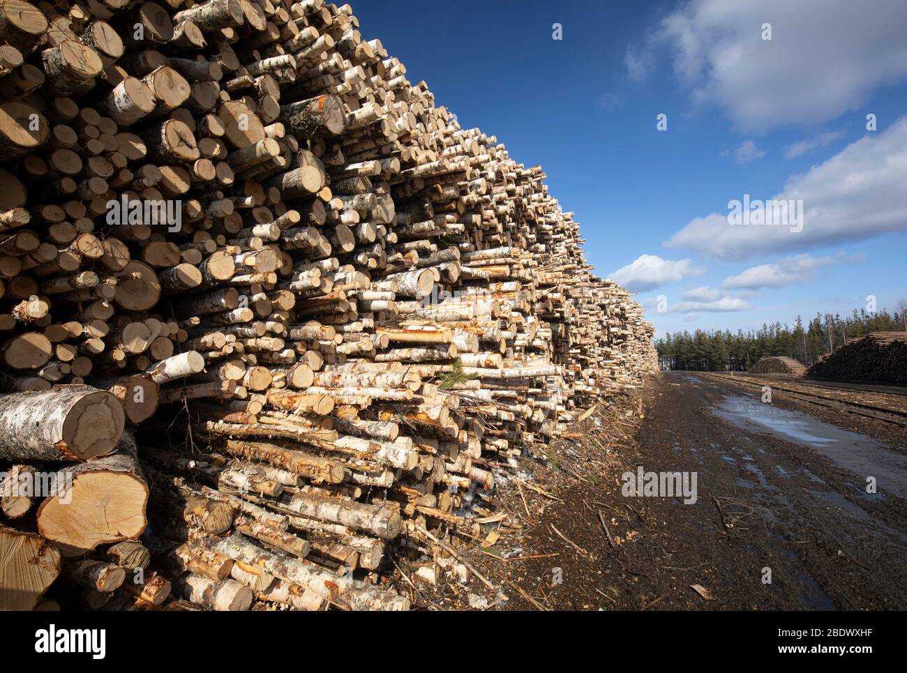 Yarding logs hi-res stock photography and images - Alamy