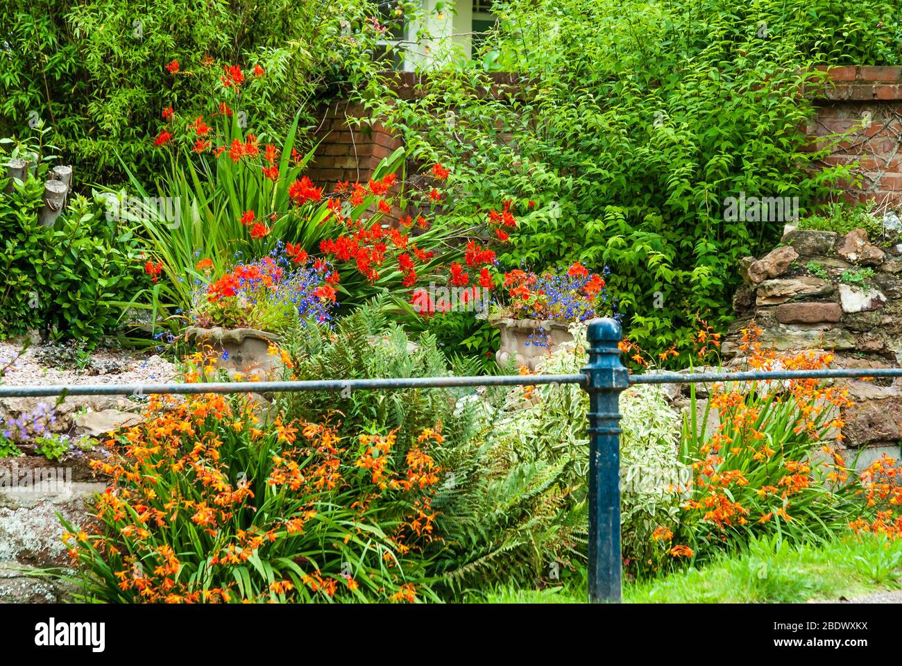 Gold award garden hi-res stock photography and images - Alamy