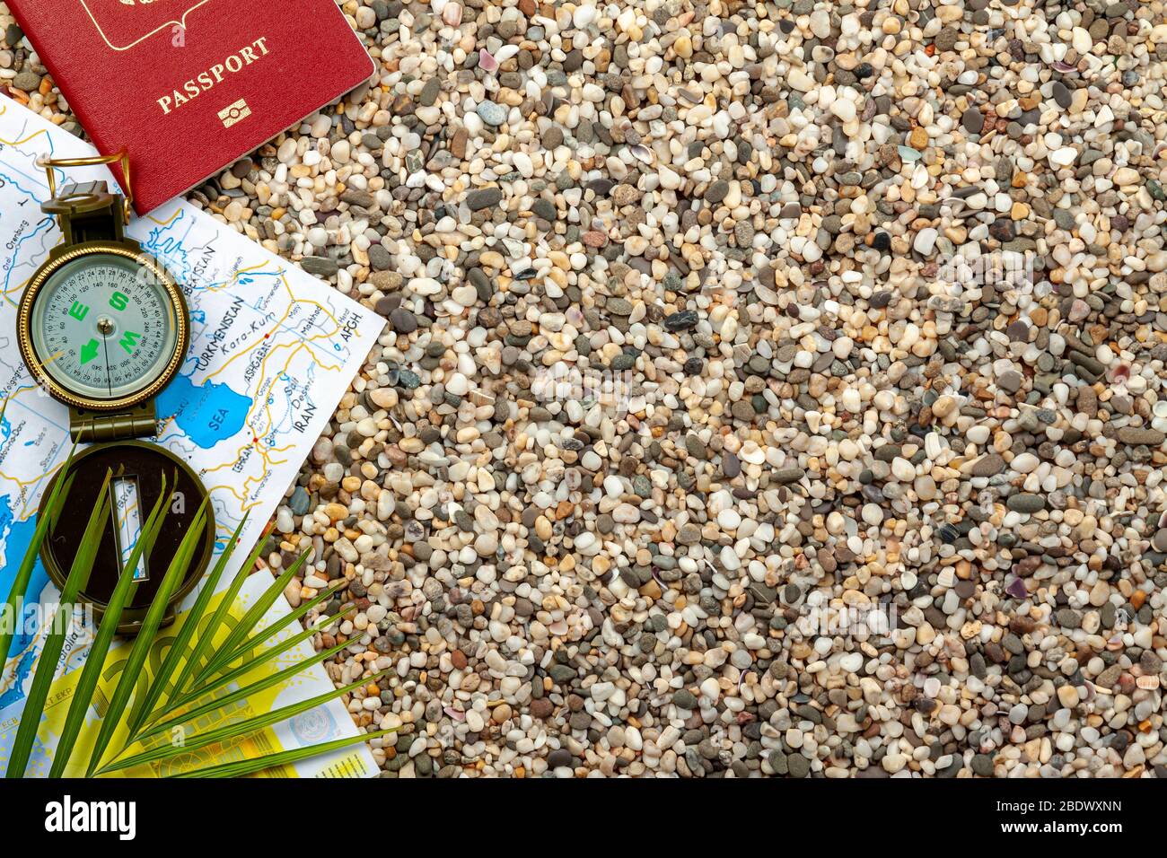 Compass, passport, map and fern branch against the background of the ...