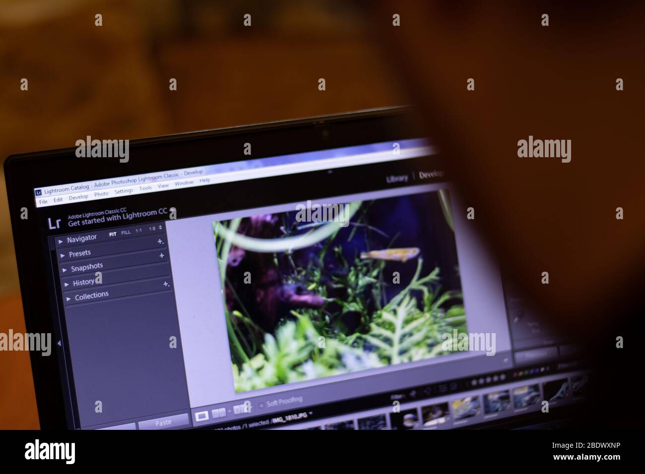 New York, USA - 9 April 2020: Adobe Lightroom application on laptop ...