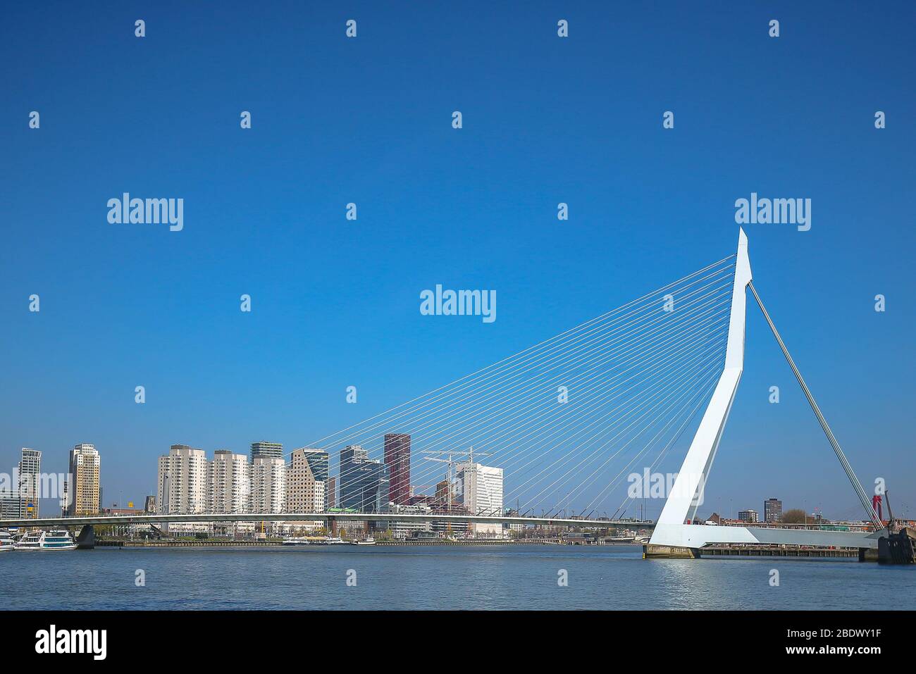 ROTTERDAM, Erasmus brug, Rotterdam centrum Stock Photo - Alamy