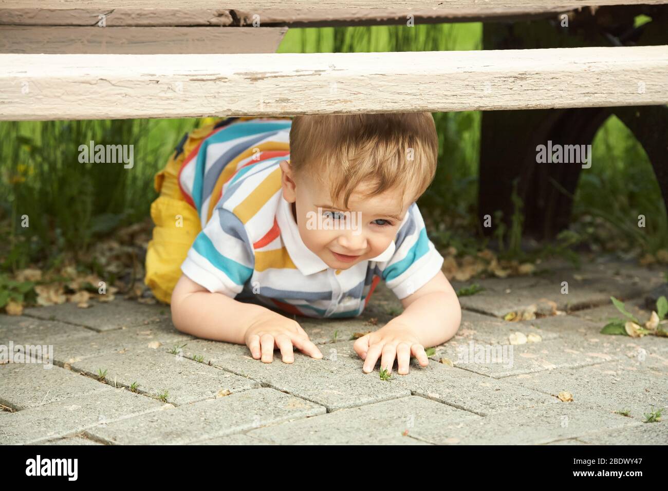 little boy outdoors. funny child walking in the summer park Stock Photo ...