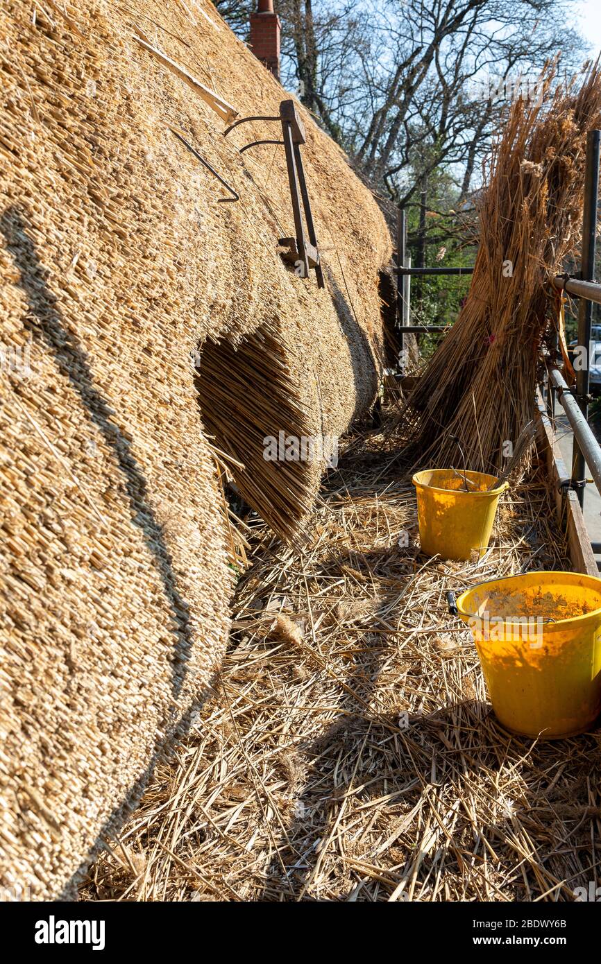 Thatched Roof, Rooftop, Repairing, Farm, Construction Industry, Working ...