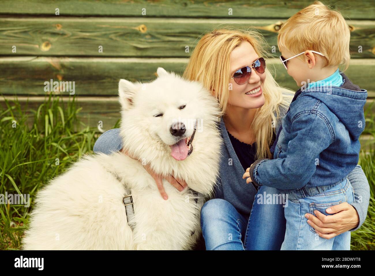 outdoor portrait mother, son and dog. child and mom walking samoyed ...
