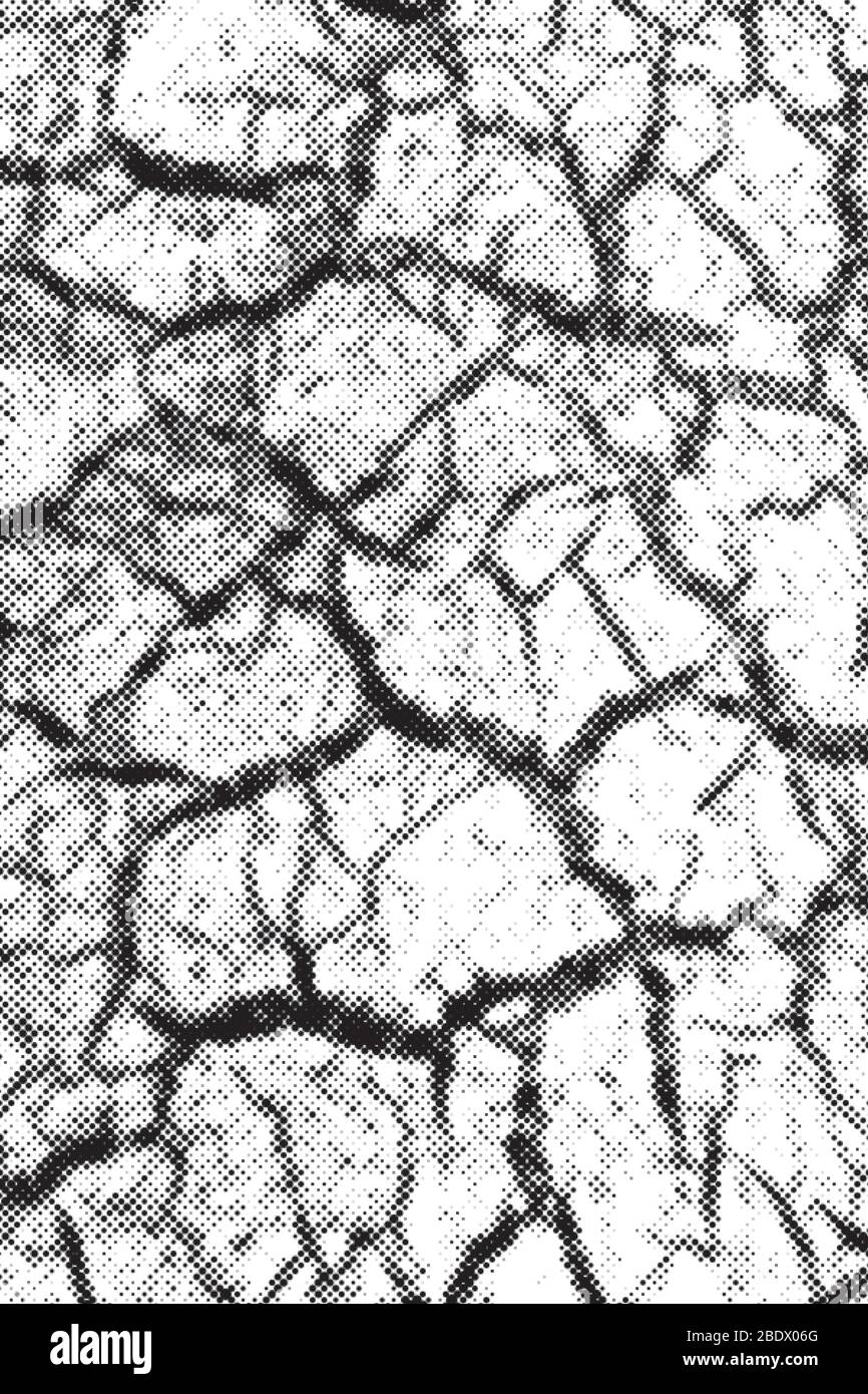 Grunge cracked clay ground, drought land background Stock Vector Image ...