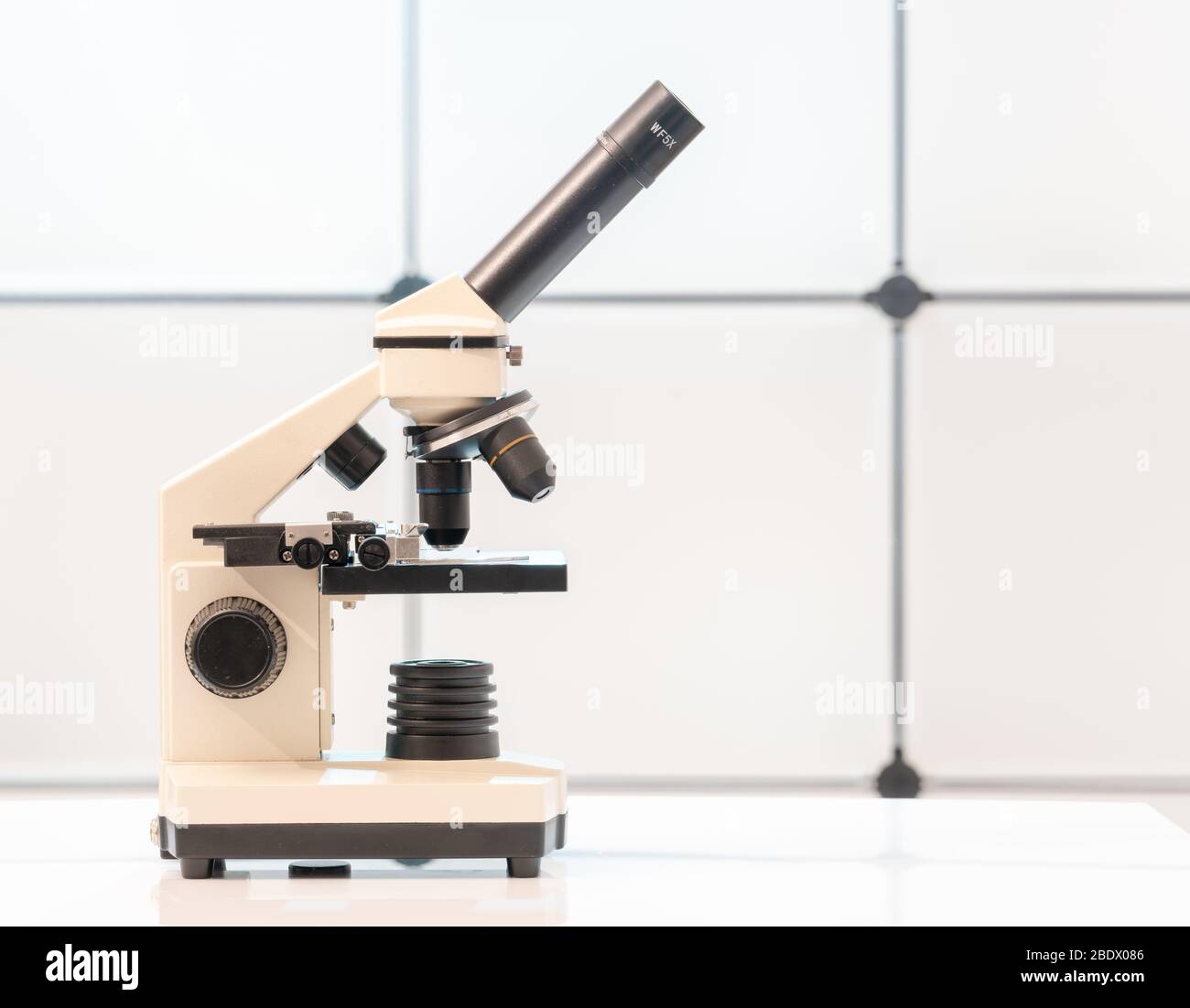 School microscope hi-res stock photography and images - Alamy