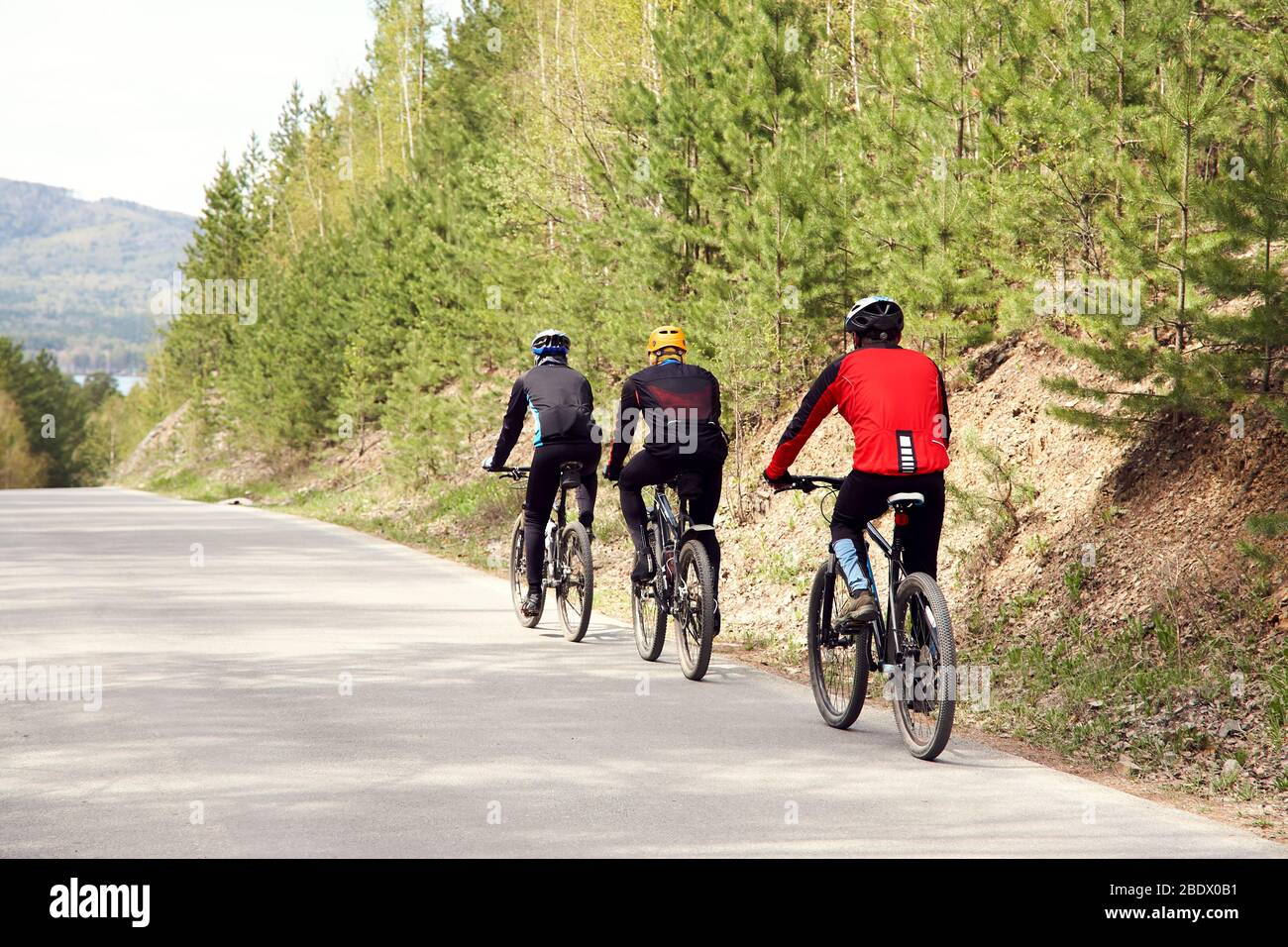 group of cyclists on a forest road Stock Photo - Alamy