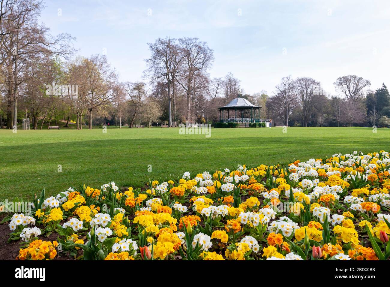 Abington Park in flower, the park is looking colourful as the flower ...