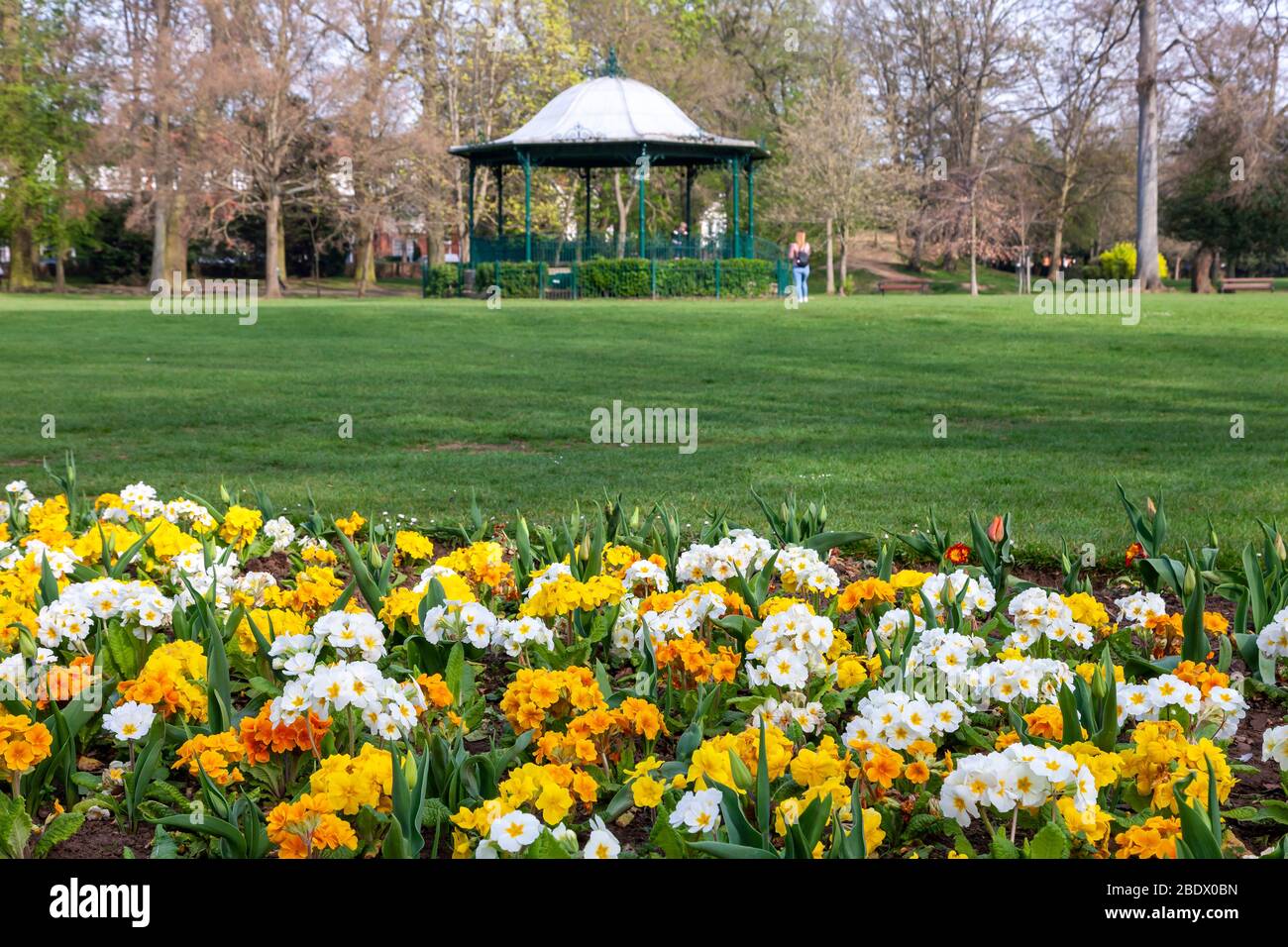 Abington Park in flower, the park is looking colourful as the flower ...