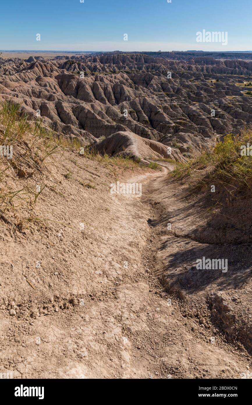 Badlands flora hi-res stock photography and images - Alamy