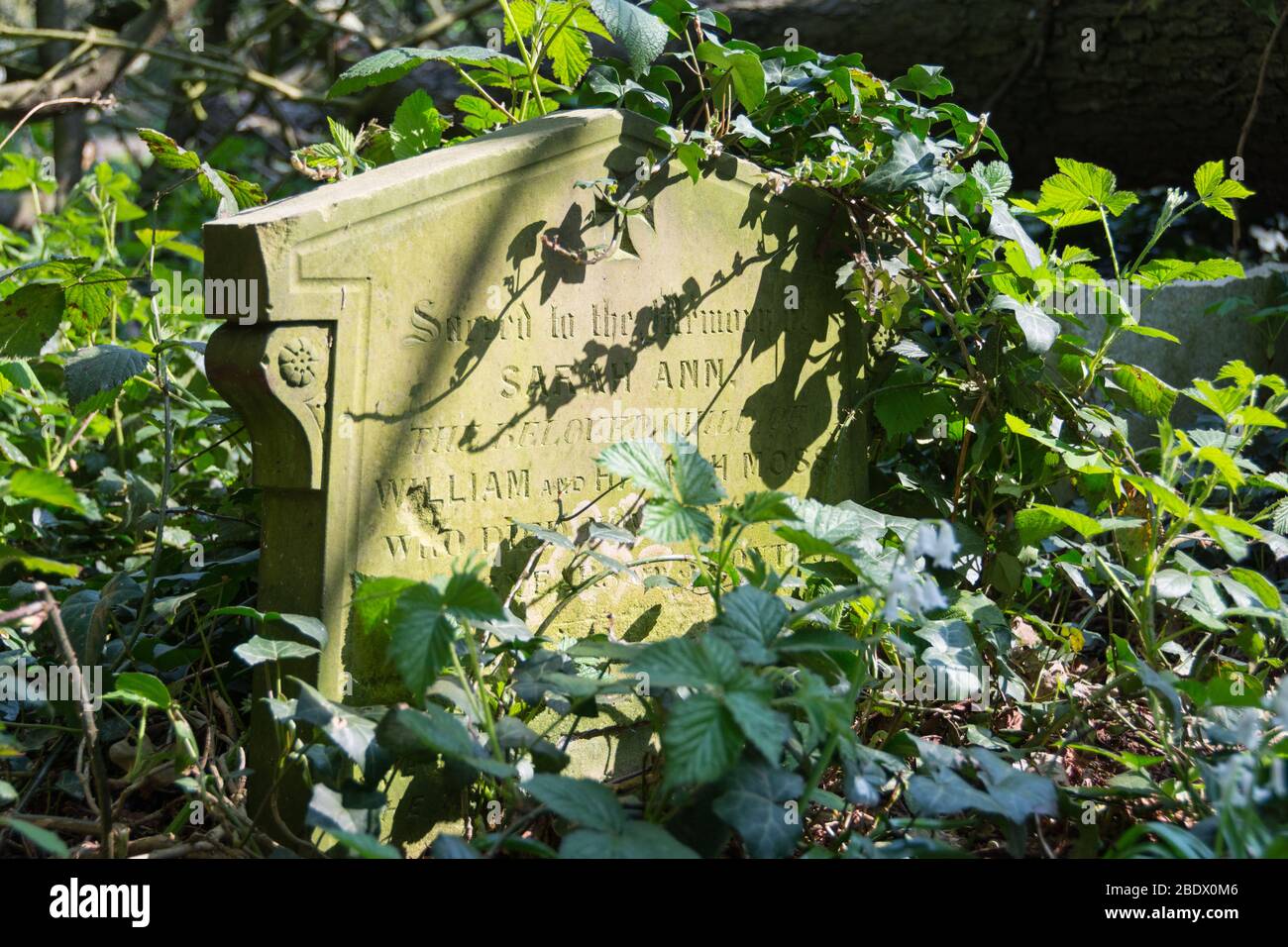 Memory cemetery hi-res stock photography and images - Alamy