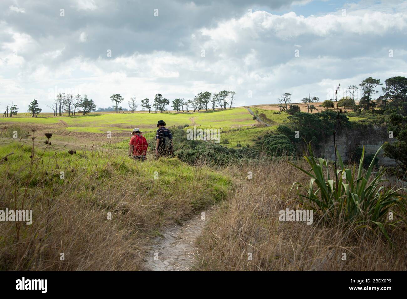 Walking the Long Bay coastal walk with farmland views Stock Photo - Alamy