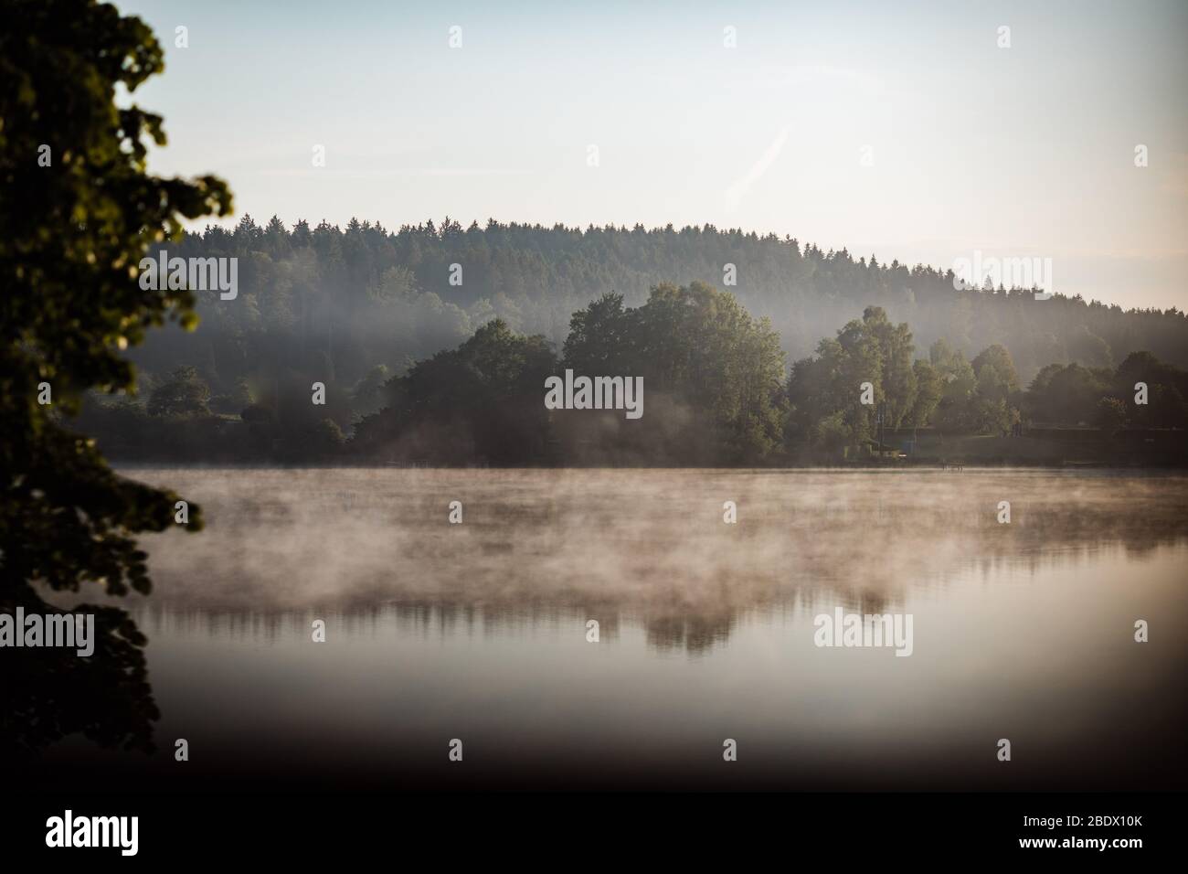 autumn fog over the forest lake at dawn Stock Photo - Alamy