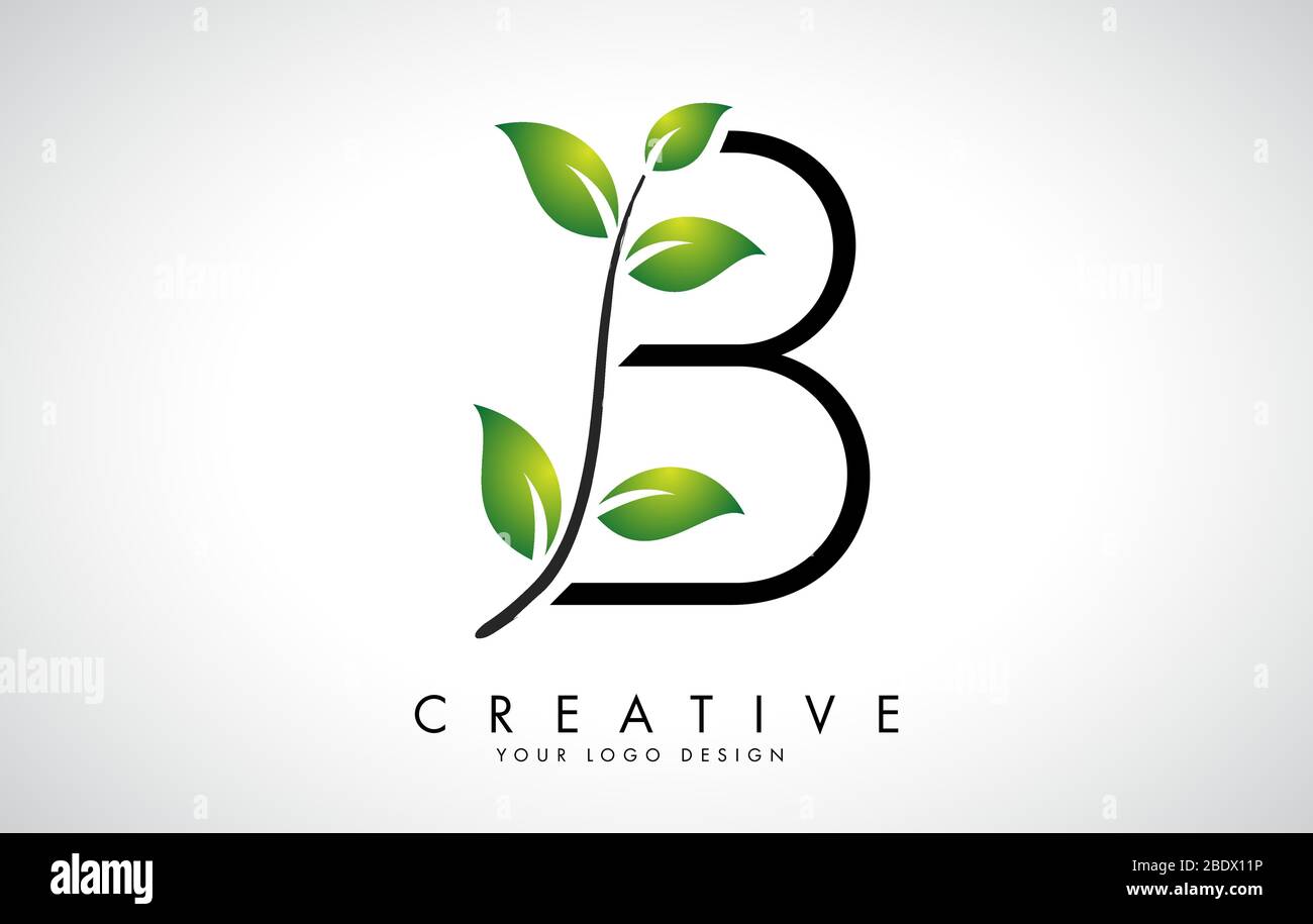 Leaf Letter B Logo Design with Green Leaves on a Branch. Letter B with ...