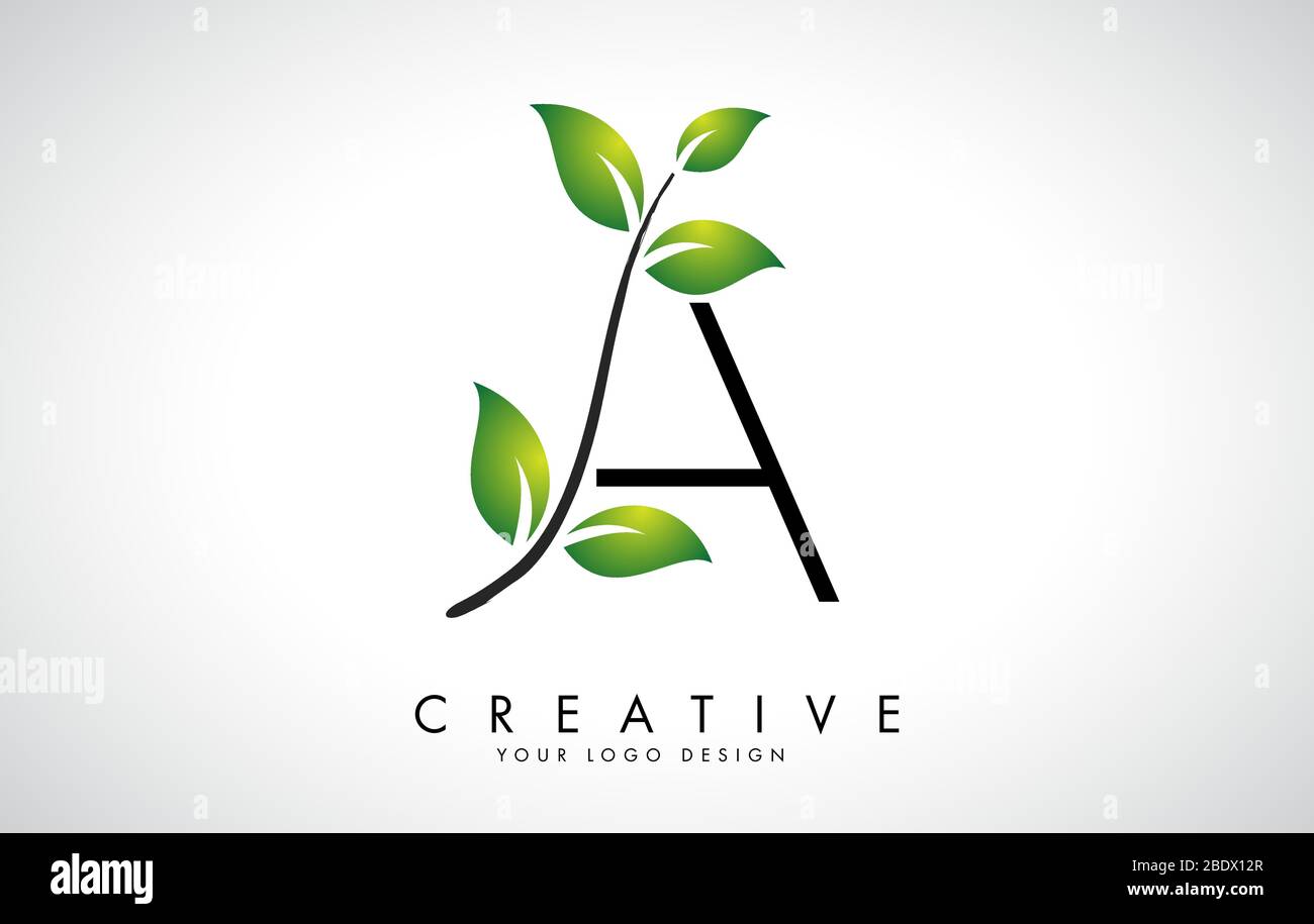 Leaf Letter A Logo Design with Green Leaves on a Branch. Letter A with ...