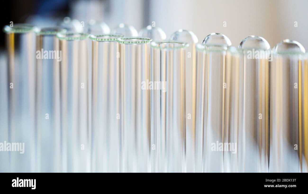 Closer look of the glass tubes on the rack in the laboratory with the ...