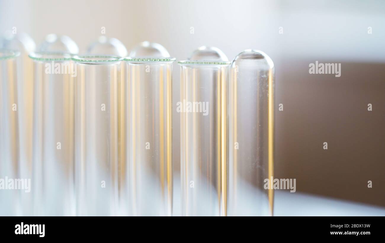 Closer look of the glass tubes on the rack in the laboratory with the ...