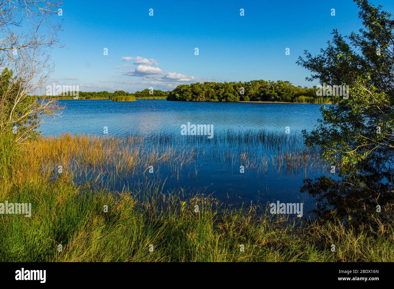Everglades national park white bay hi-res stock photography and images ...