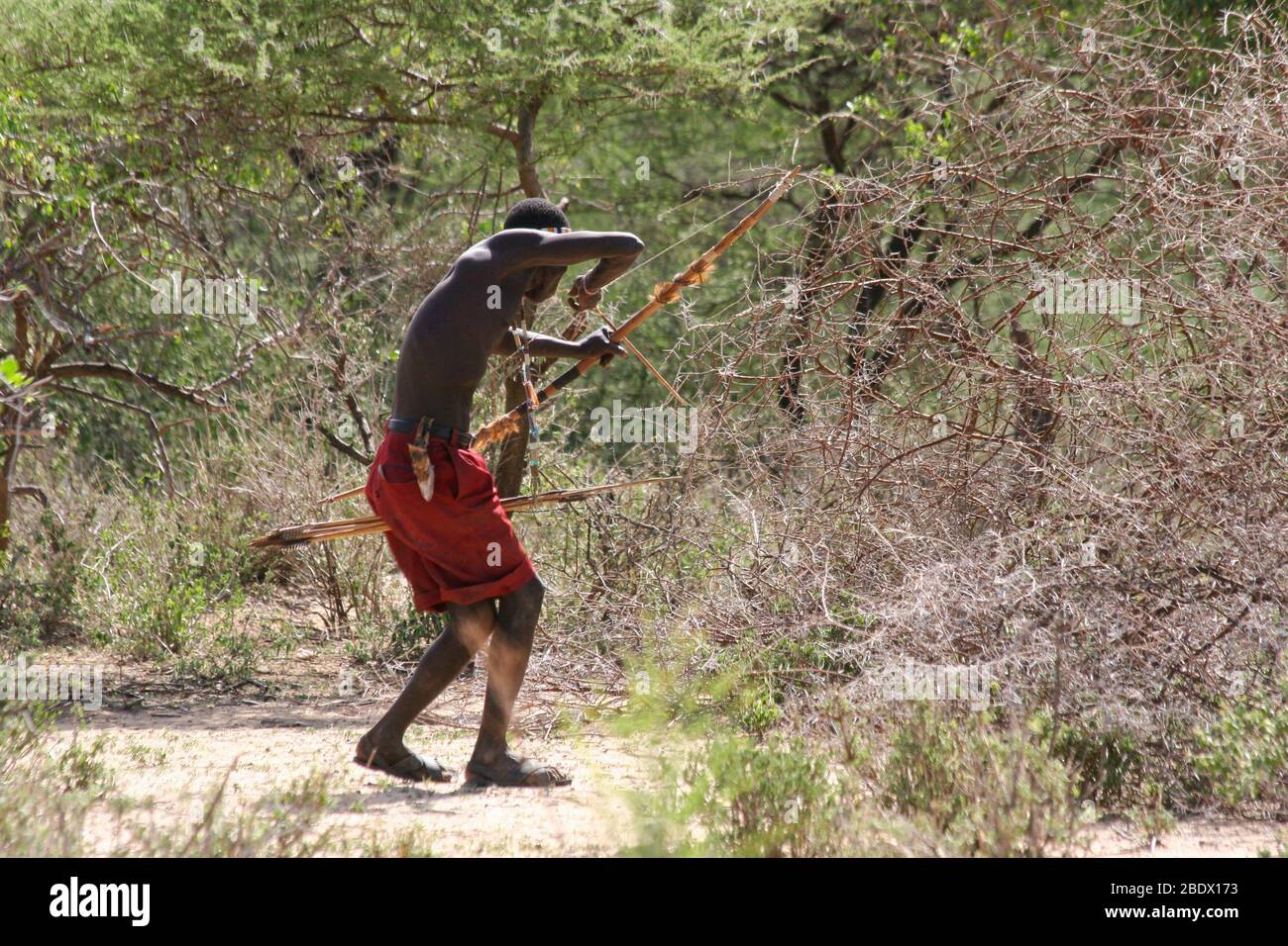 Hunters and gatherers hi-res stock photography and images - Alamy