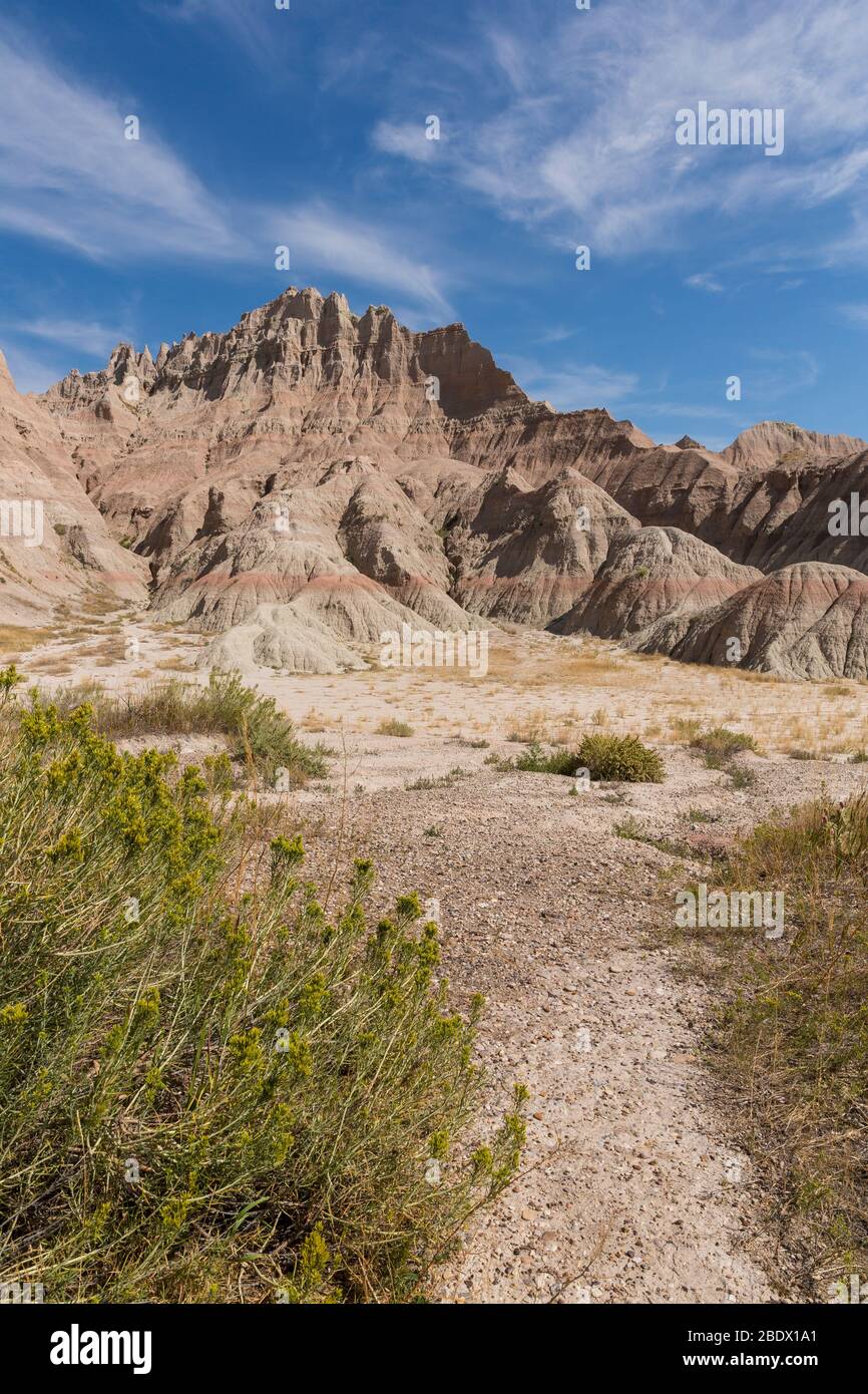 Badlands flora hi-res stock photography and images - Alamy