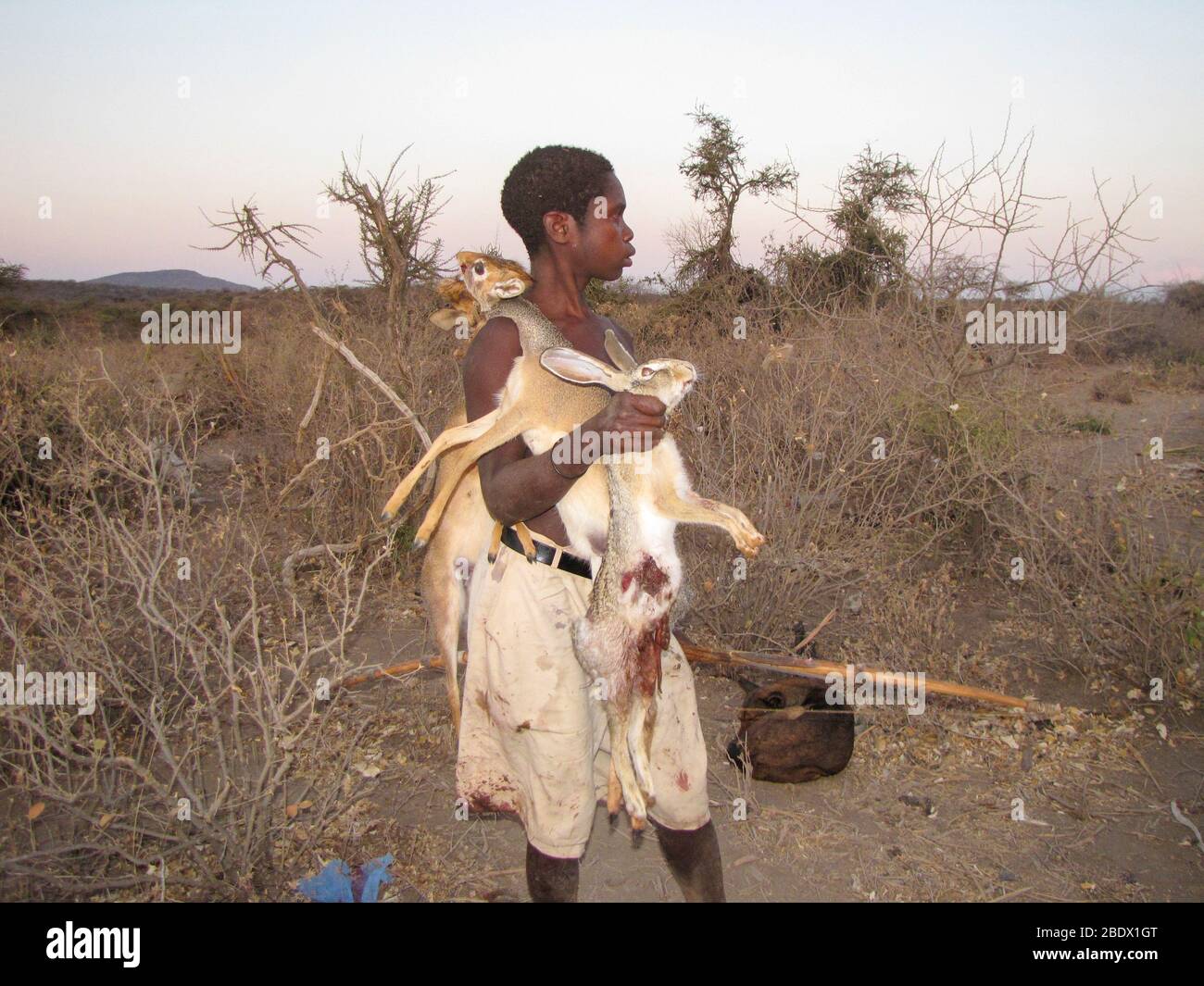 Hunter gatherer tribe hi-res stock photography and images - Alamy