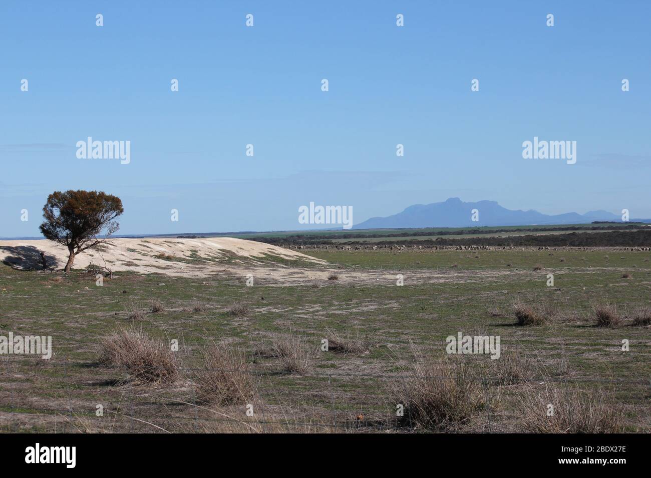 open plains of Australia Stock Photo - Alamy