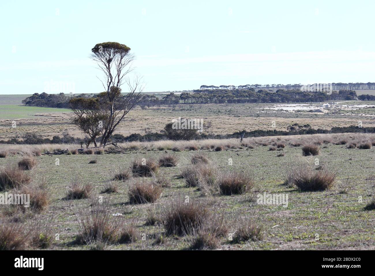 open plains of Australia Stock Photo - Alamy