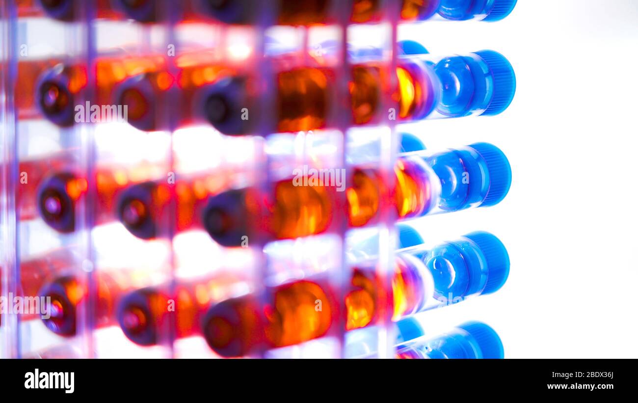 Chemical fluids inside the test tubes in the rack on the table inside ...