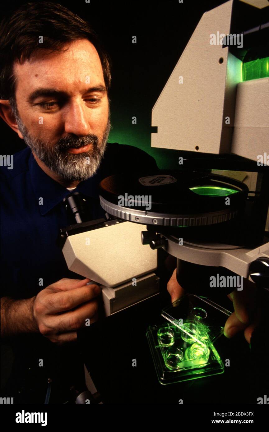 Physiologist studies hi-res stock photography and images - Alamy