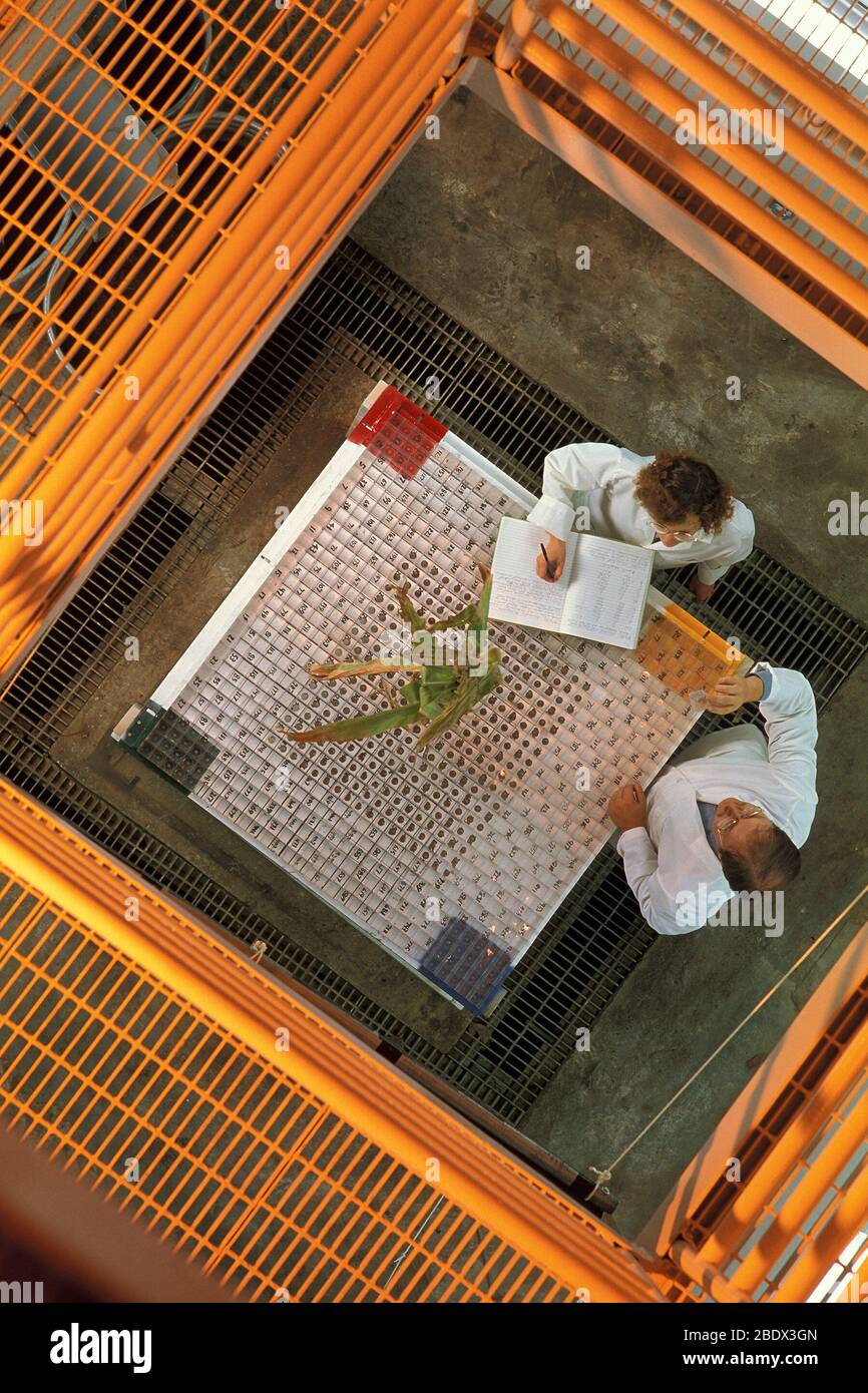 Meteorological simulation hi-res stock photography and images - Alamy