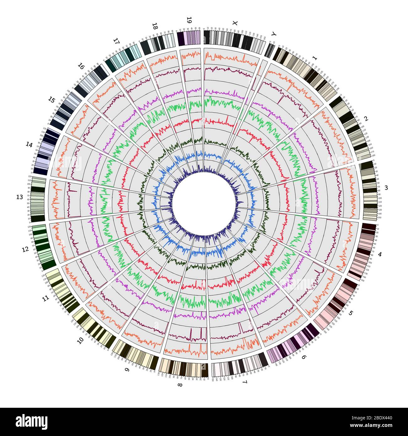 Map visualization hi-res stock photography and images - Alamy