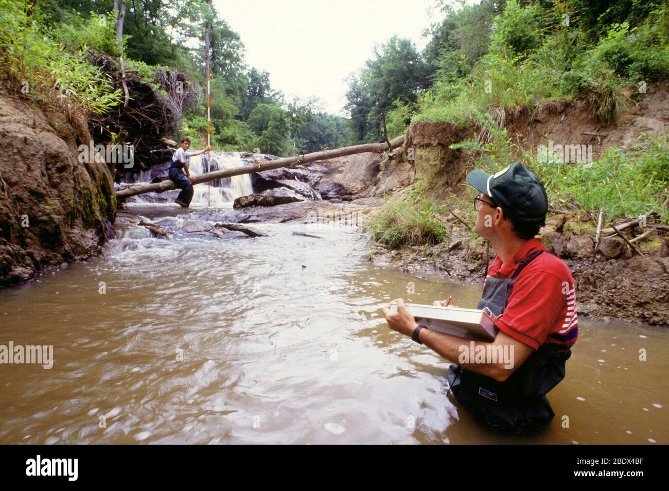 Observing stream corridor habitats Stock Photo - Alamy