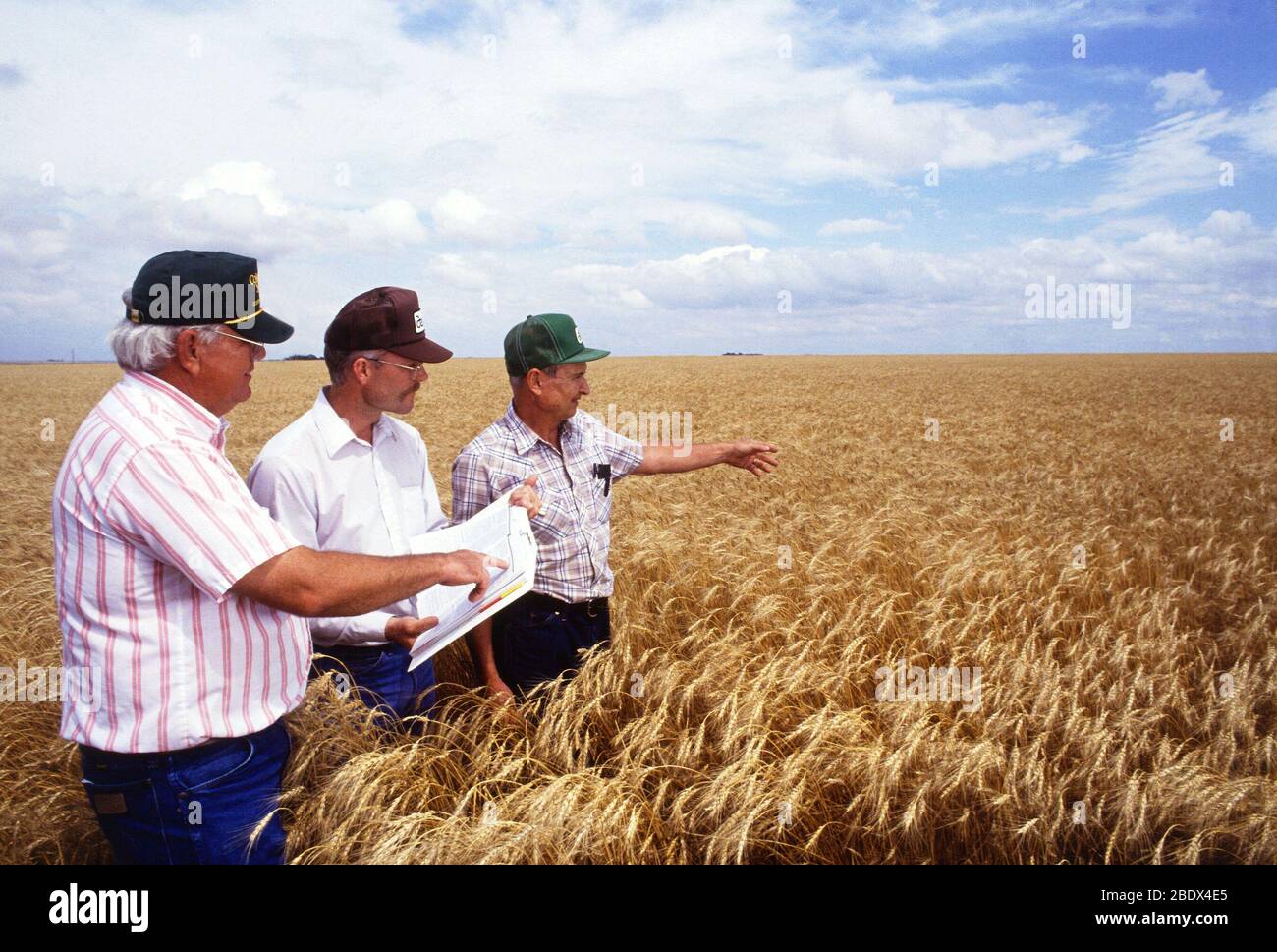 Cropping system hi-res stock photography and images - Alamy