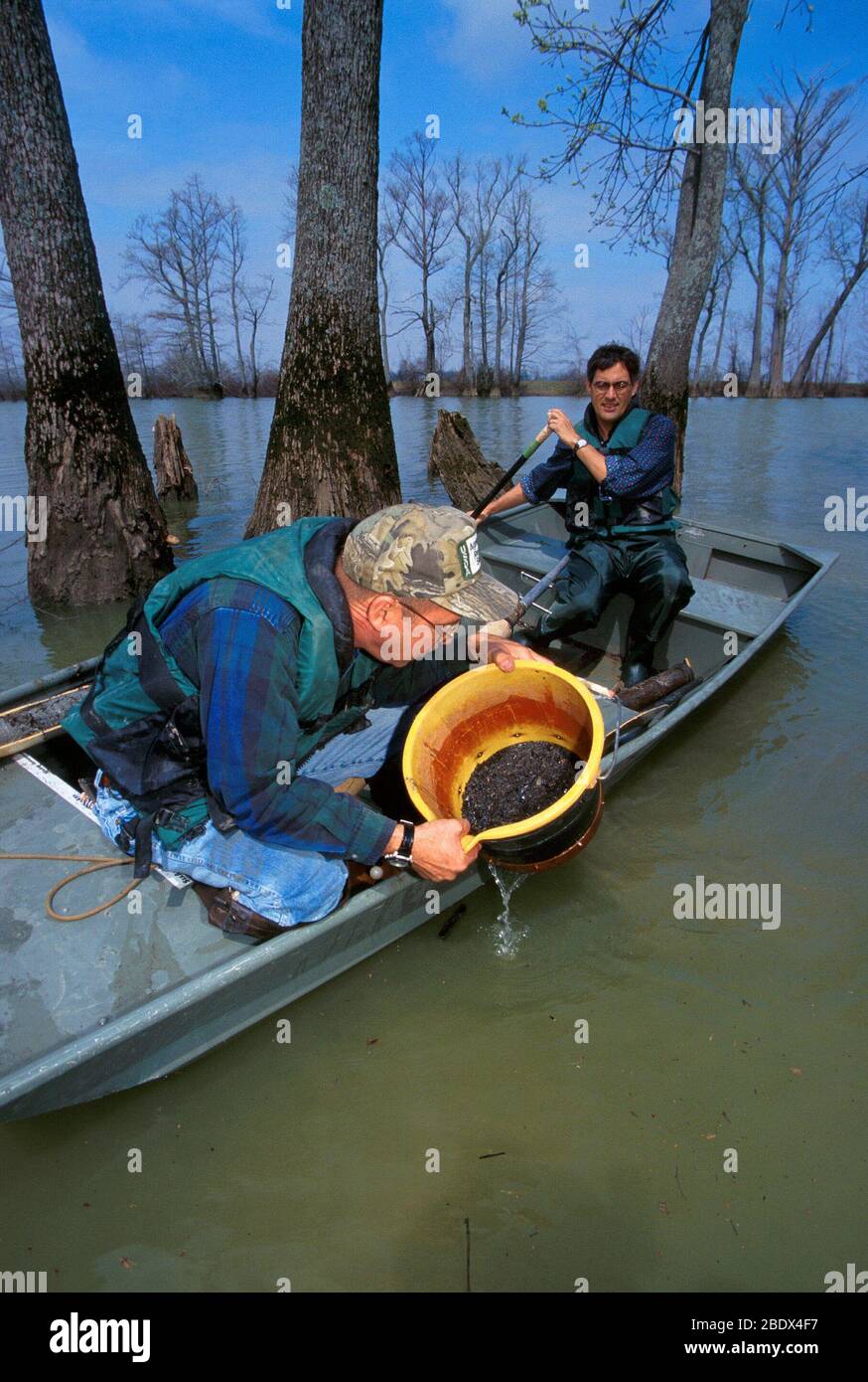 Lake sediment analysis Stock Photo - Alamy