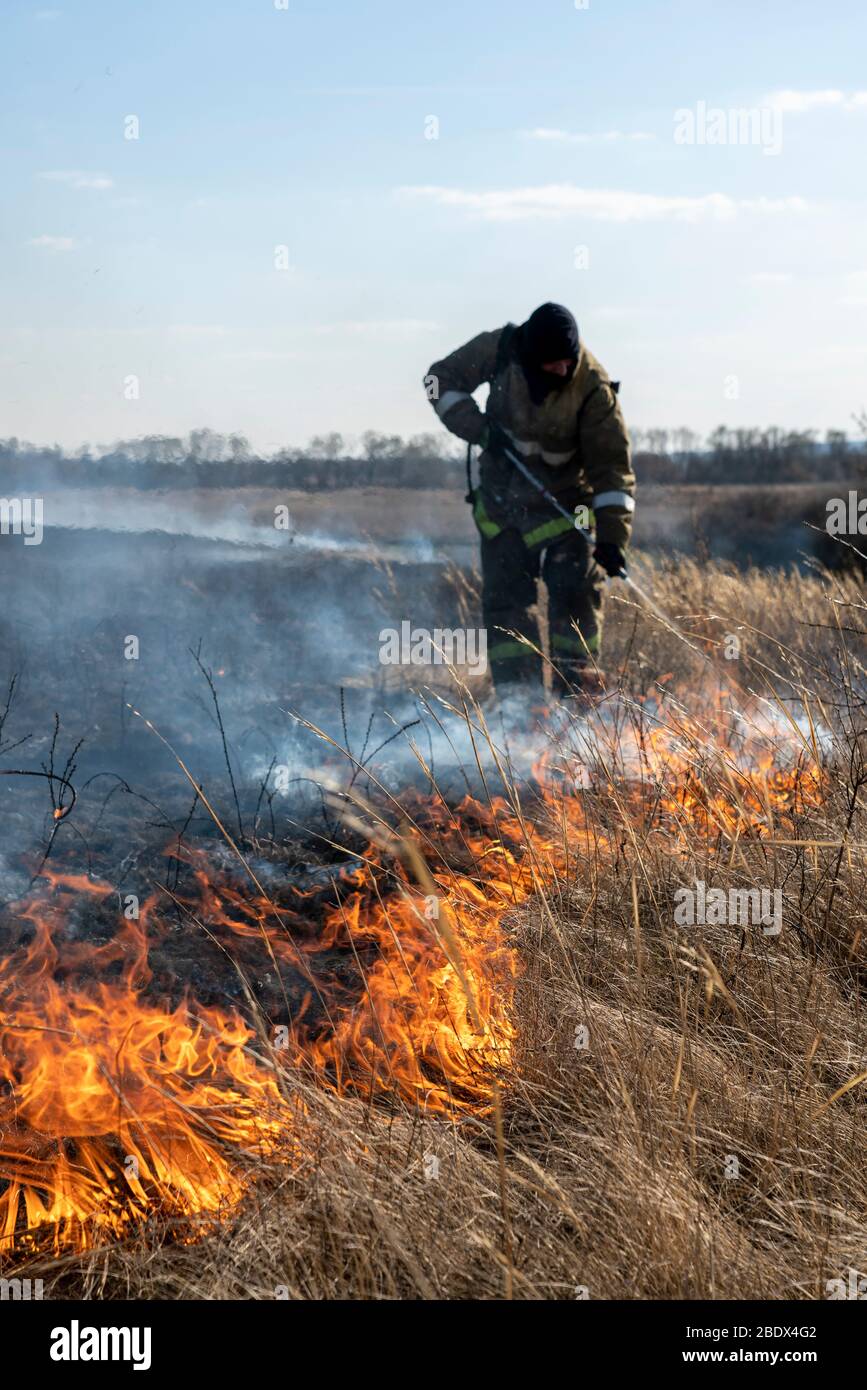 firefighters extinguish the flames of burning grass Stock Photo - Alamy