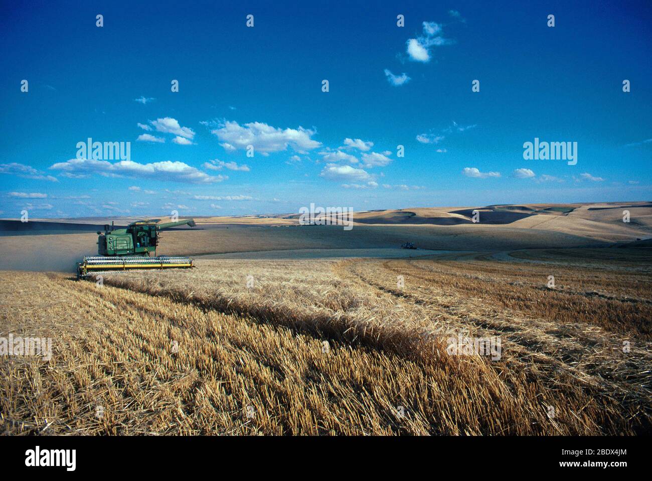 Barley fields hi-res stock photography and images - Alamy