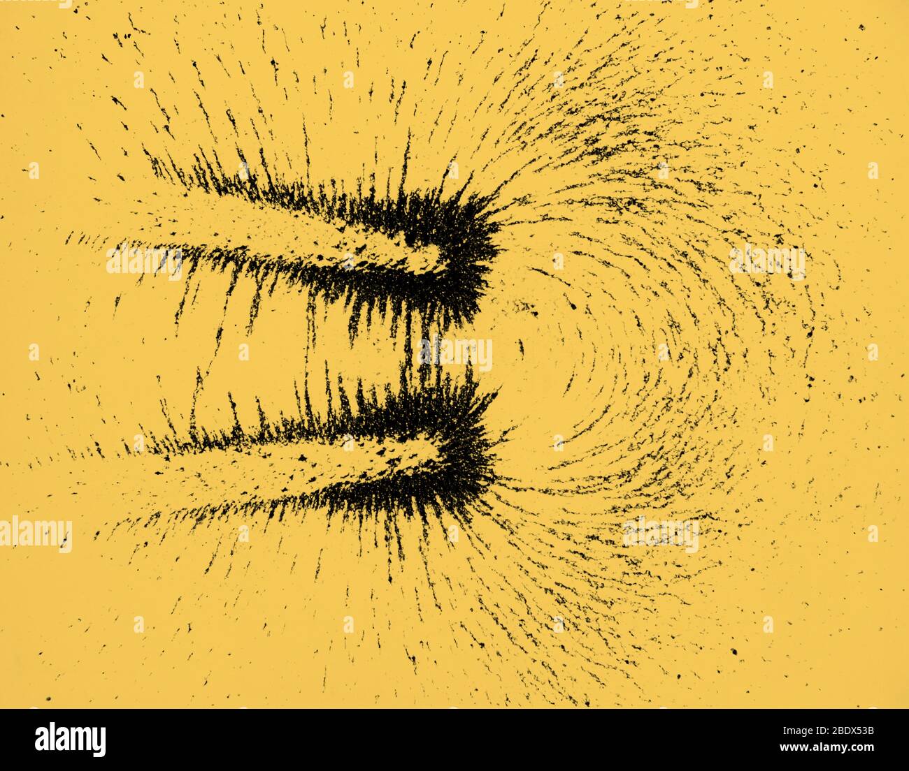 Field field field hi-res stock photography and images - Alamy