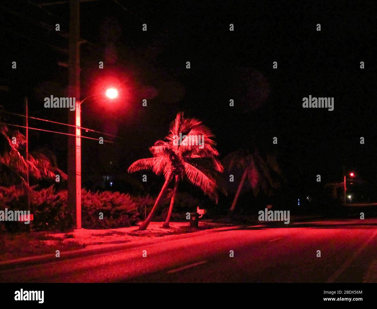 Red lights for sea turtles hi-res stock photography and images - Alamy