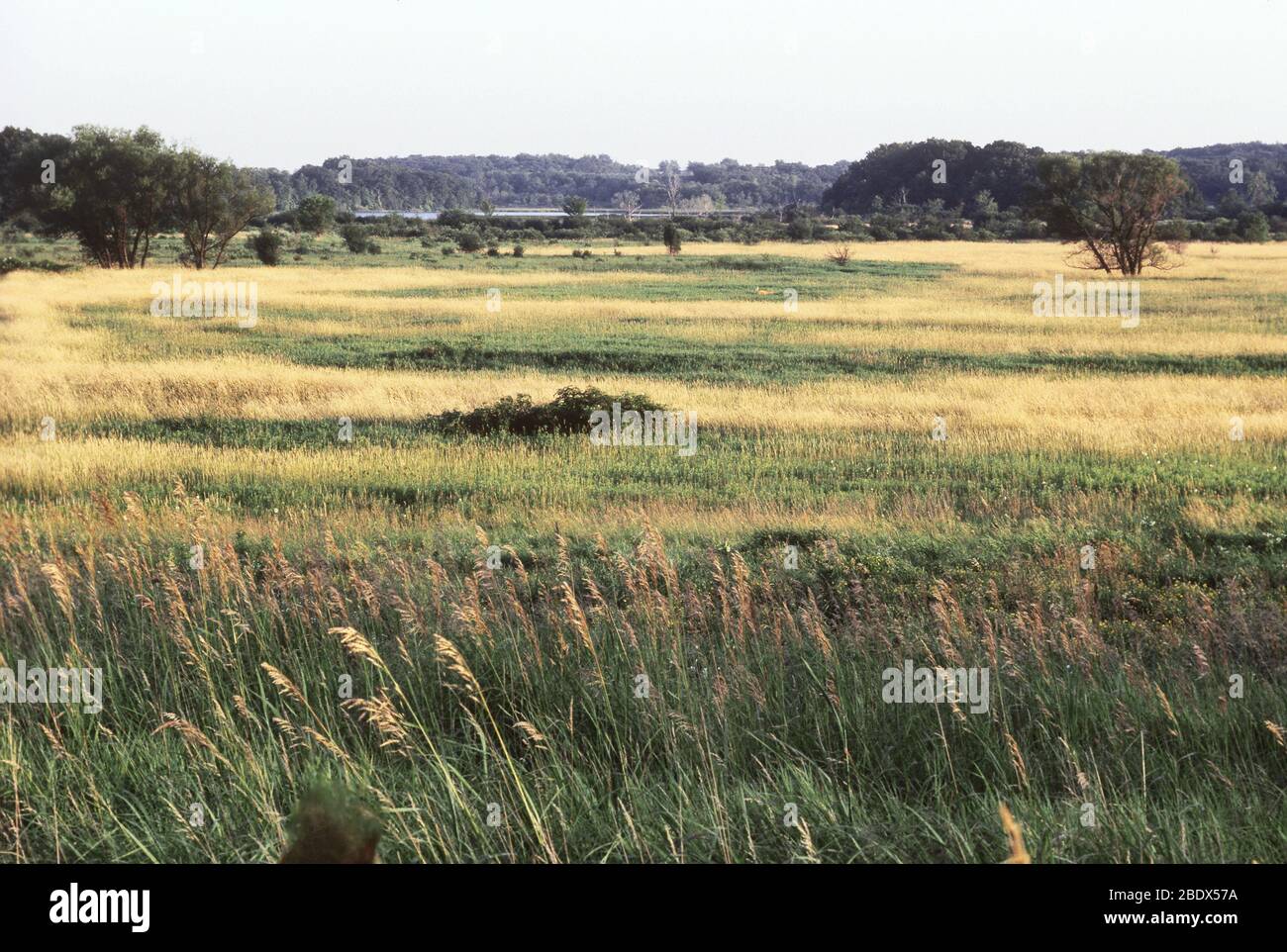 O prairie hi-res stock photography and images - Alamy