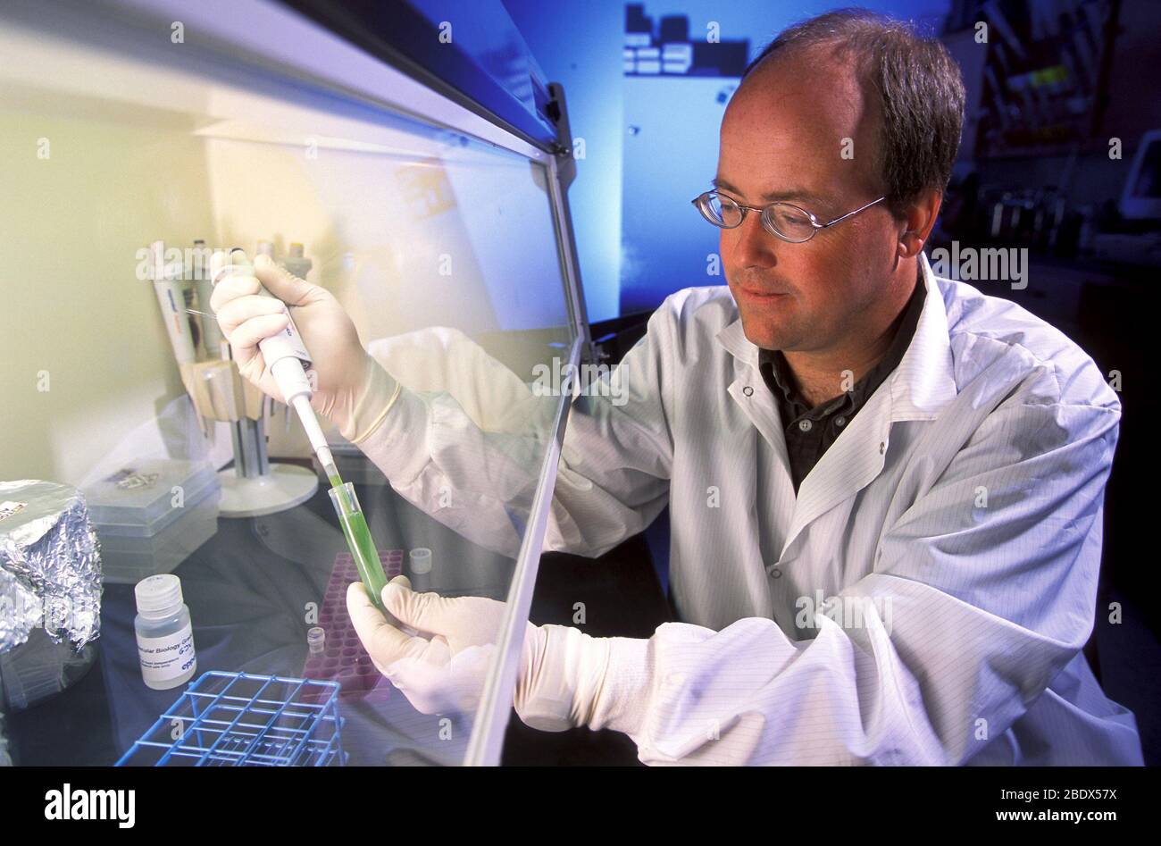 Genetic isolation hi-res stock photography and images - Alamy