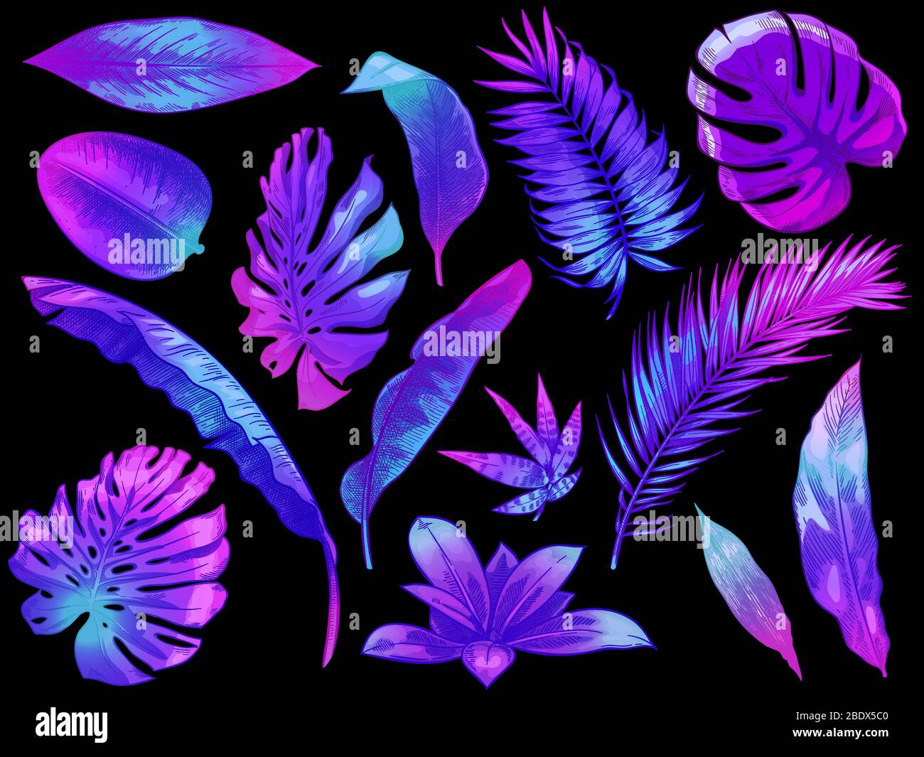 Colorful Tropical Leaves