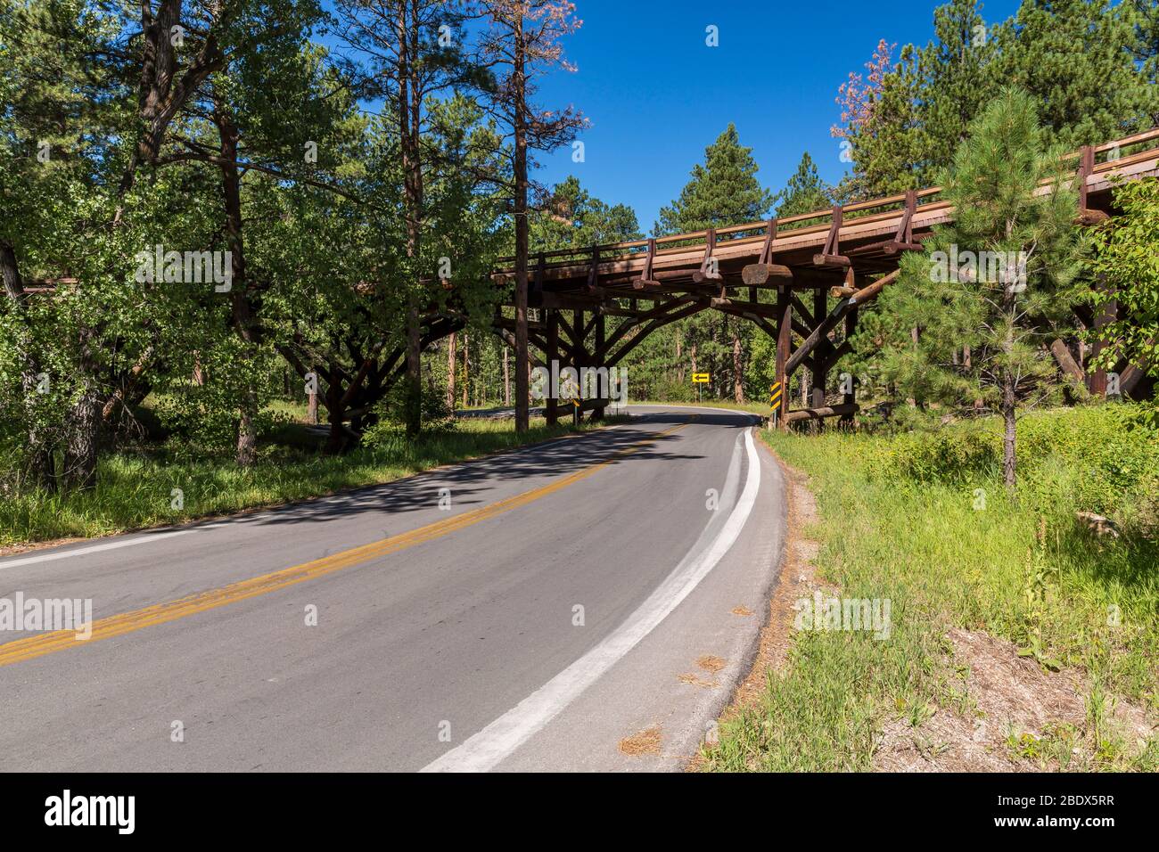 Bridge in a forest hi-res stock photography and images - Alamy
