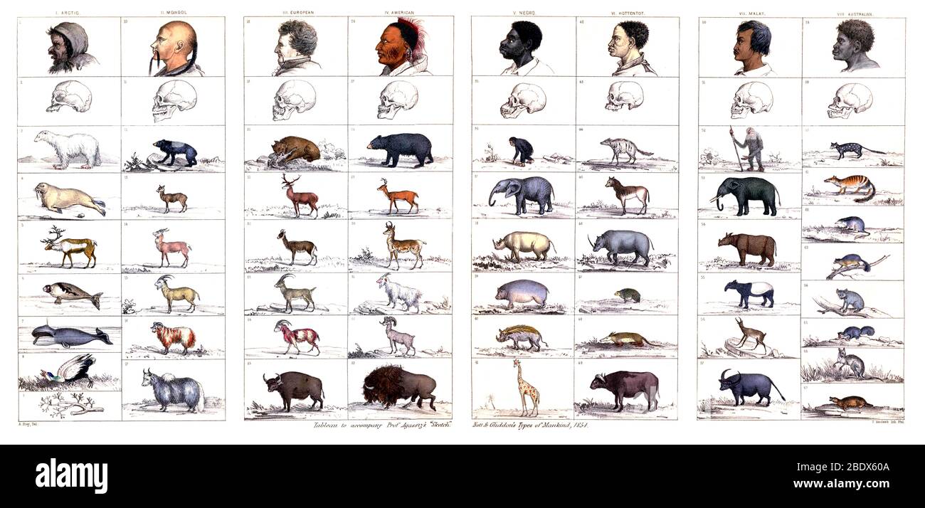 Biogeography hi-res stock photography and images - Alamy